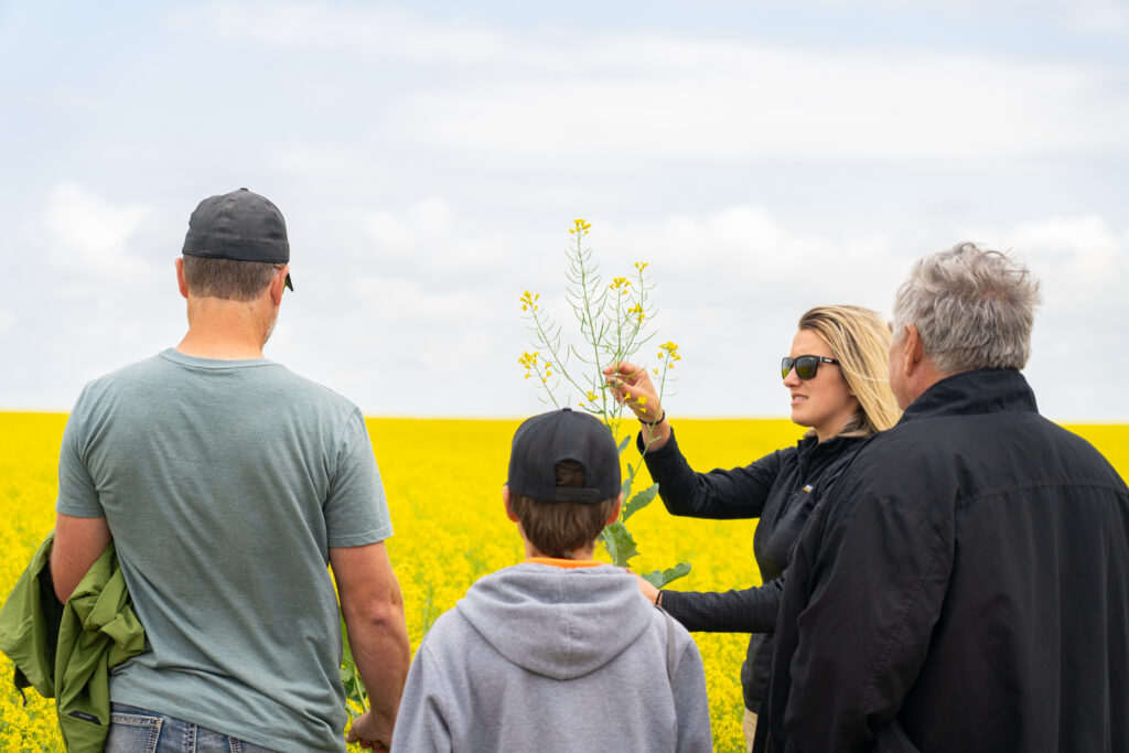 New From Bayer CropScience: Incoming Canola Hybrid Targets Key ...